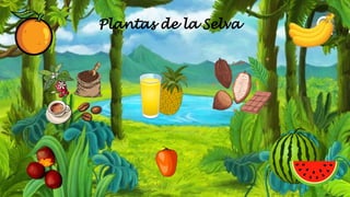 region selva del Perú y sus atractivos.pptx