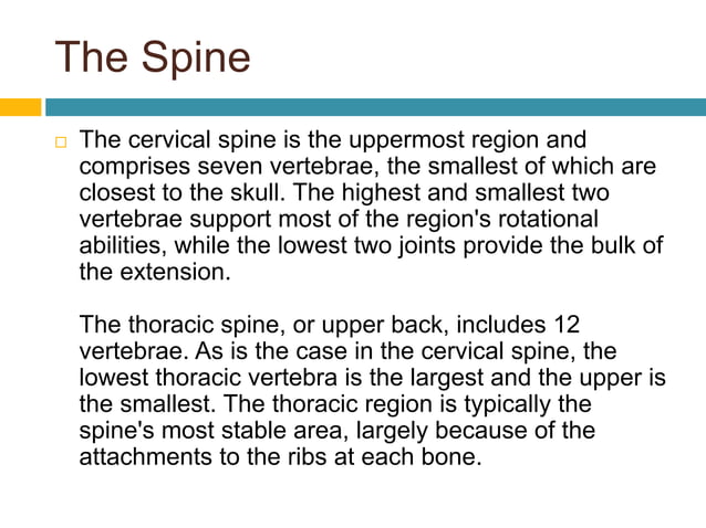 Regions of the Spine | PPTX