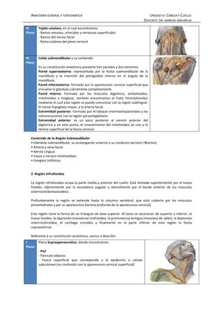 Region supra e infra hioidea | PDF