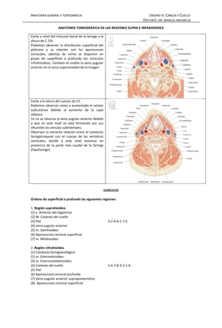 Region supra e infra hioidea | PDF