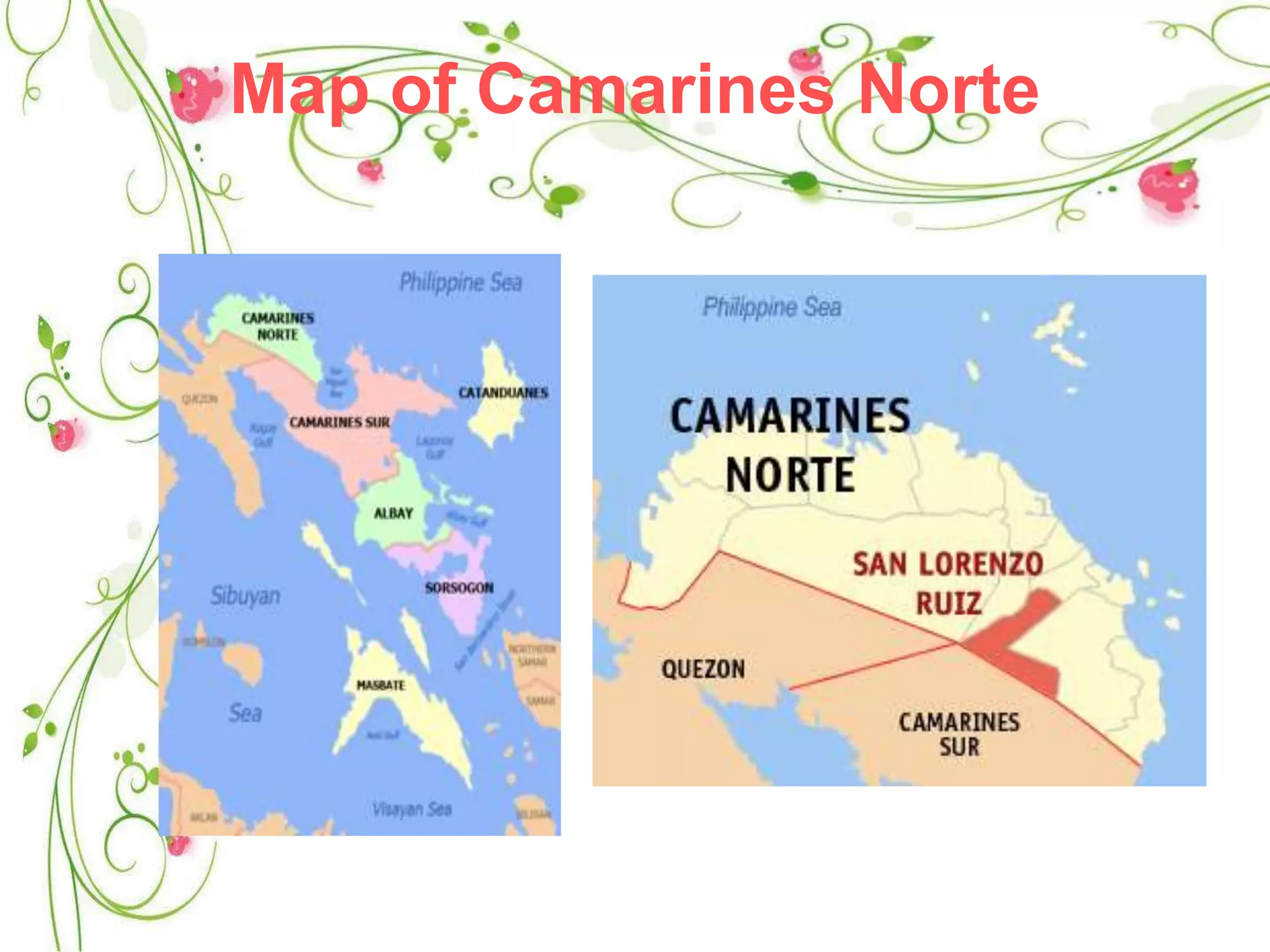 Philippines Region V | PPTX