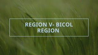 Region V- Bicol Region physical feature and places.pptx