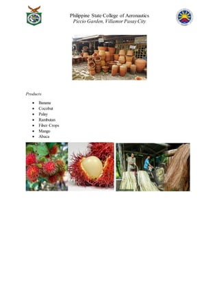 Region VI WESTERN VISAYAS PHILIPPINES | PDF