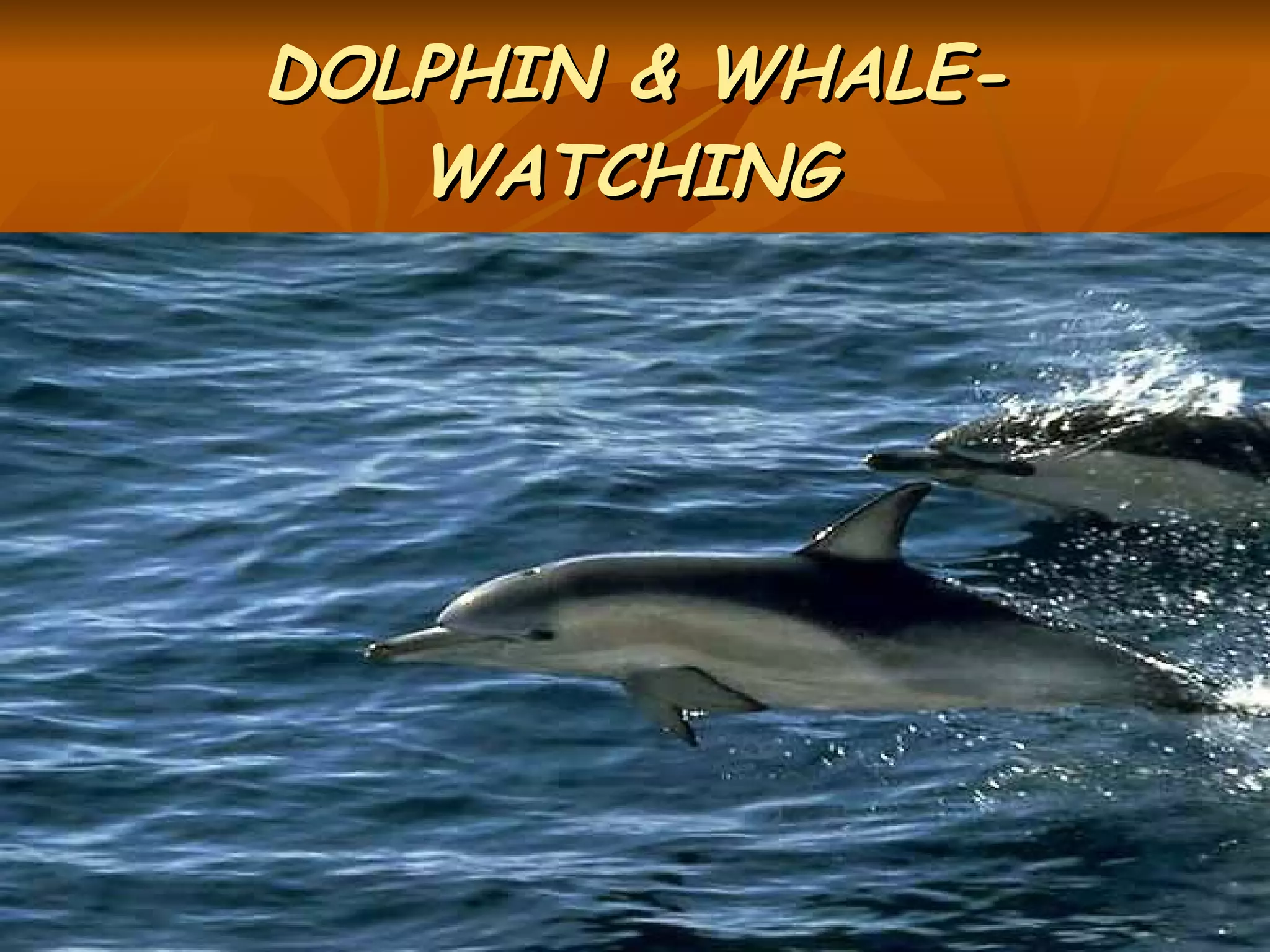 Region vii, central visayas Philippines | PPT