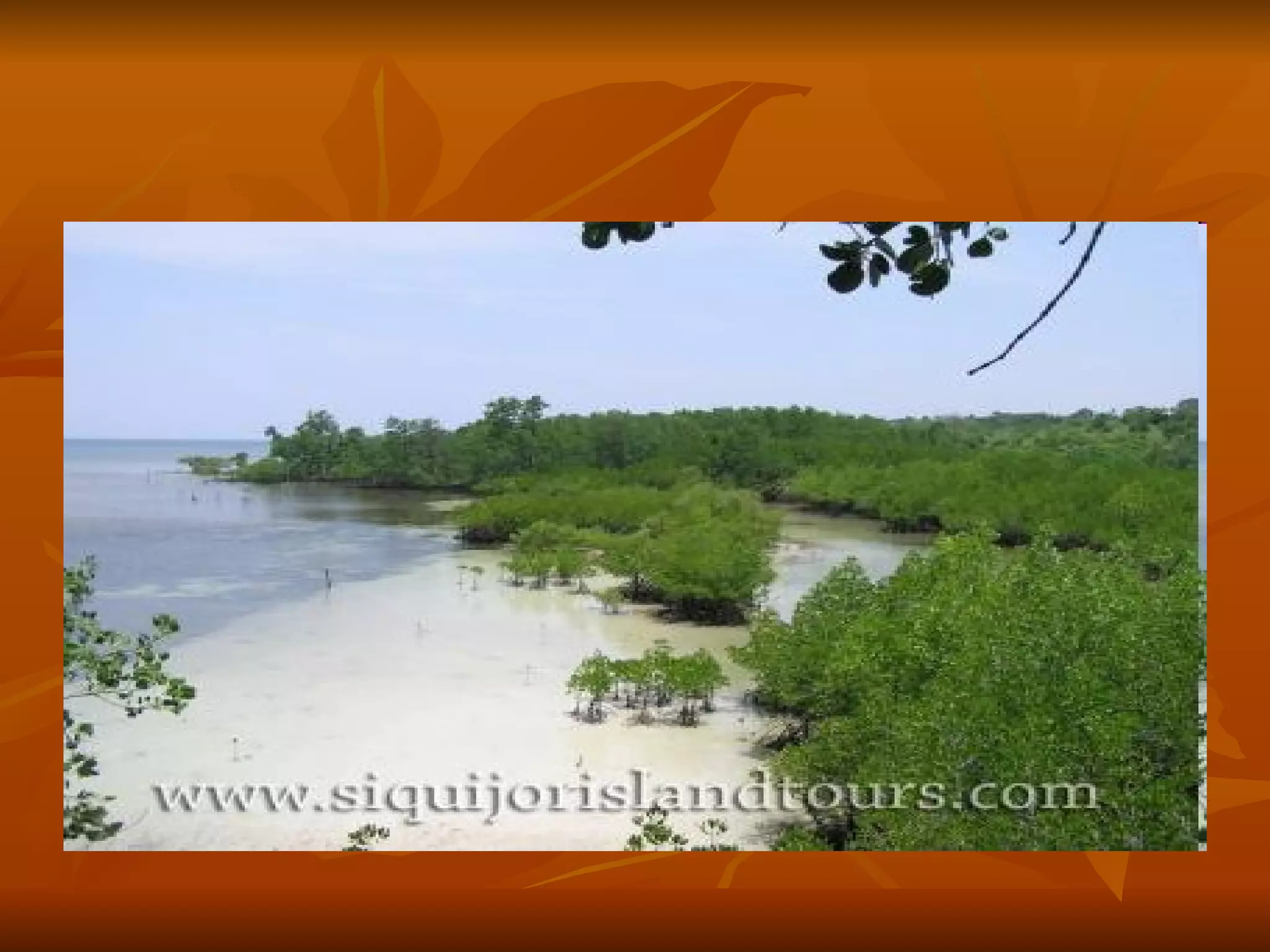 Region vii, central visayas Philippines | PPT