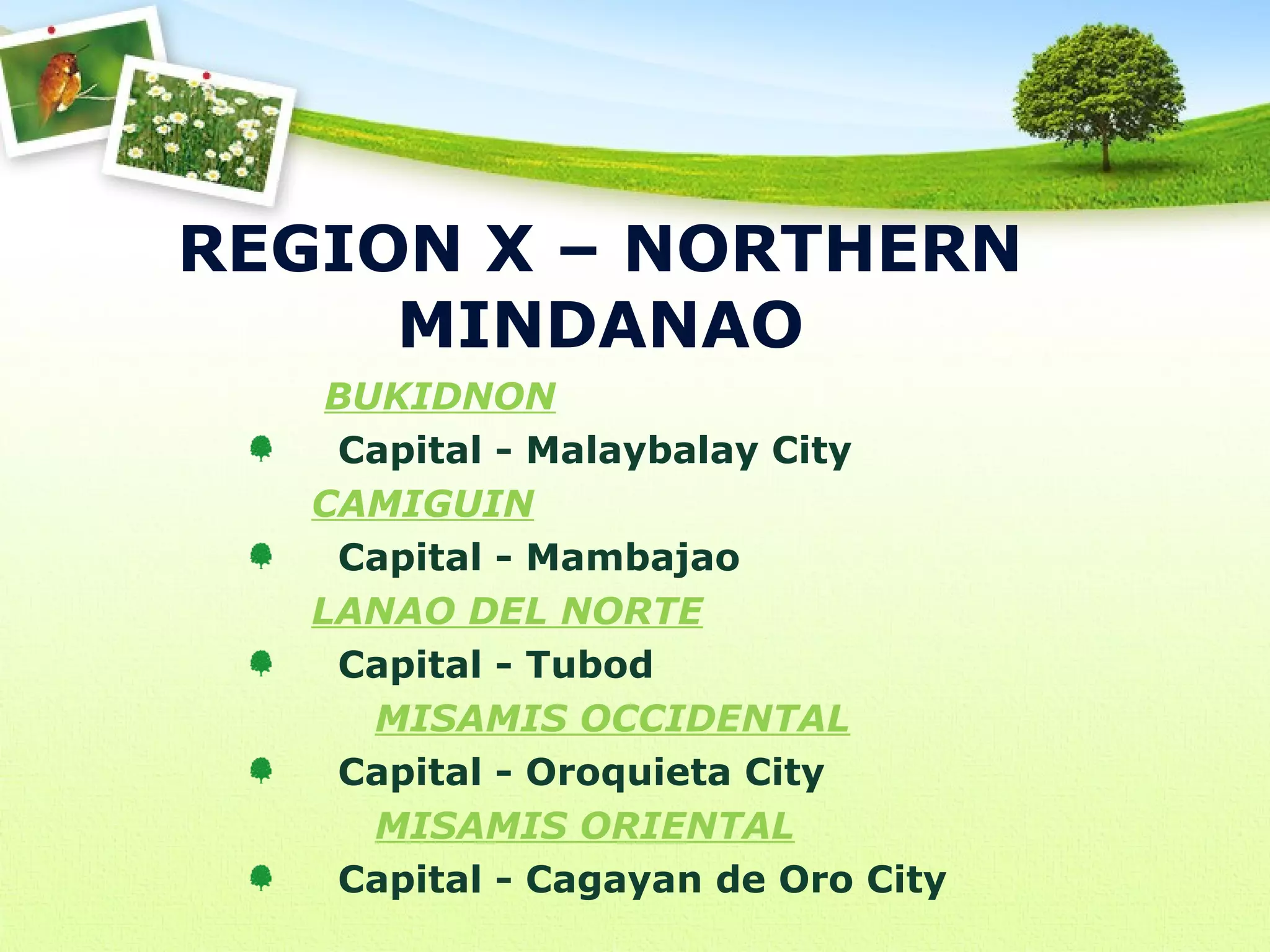 Region x | PPT | Geography | Science