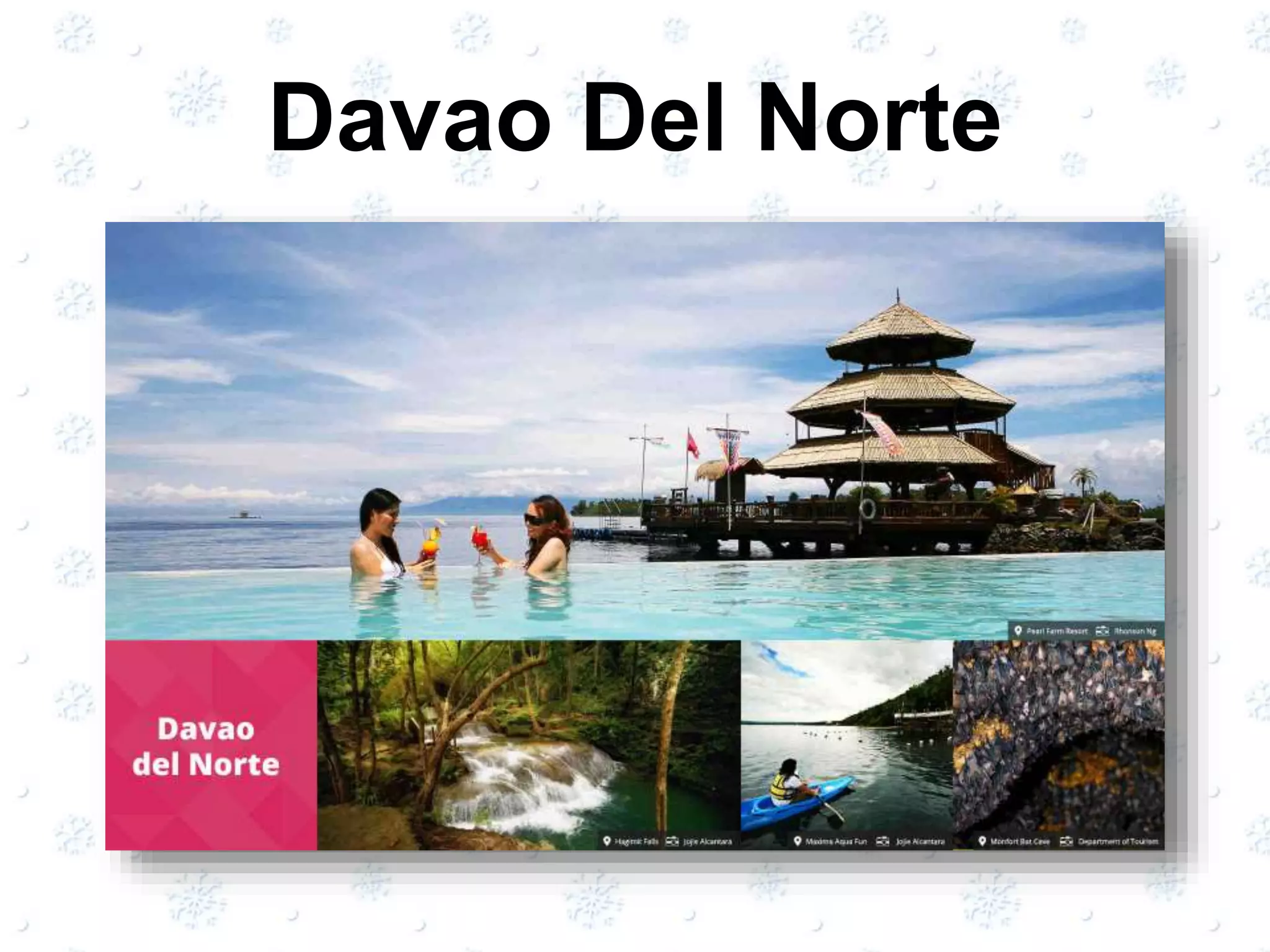 Philippines Region XI Davao | PPTX