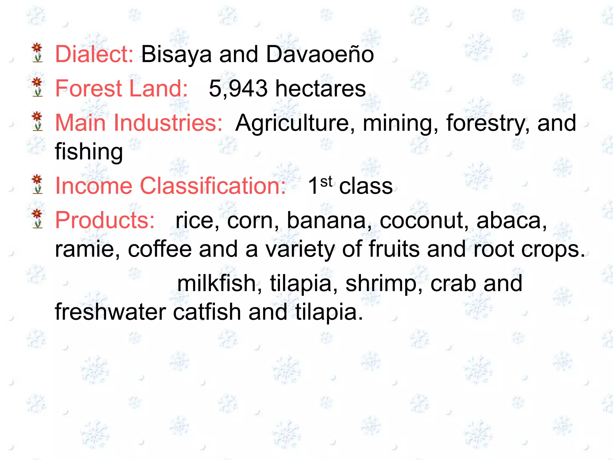 Philippines Region XI Davao | PPTX