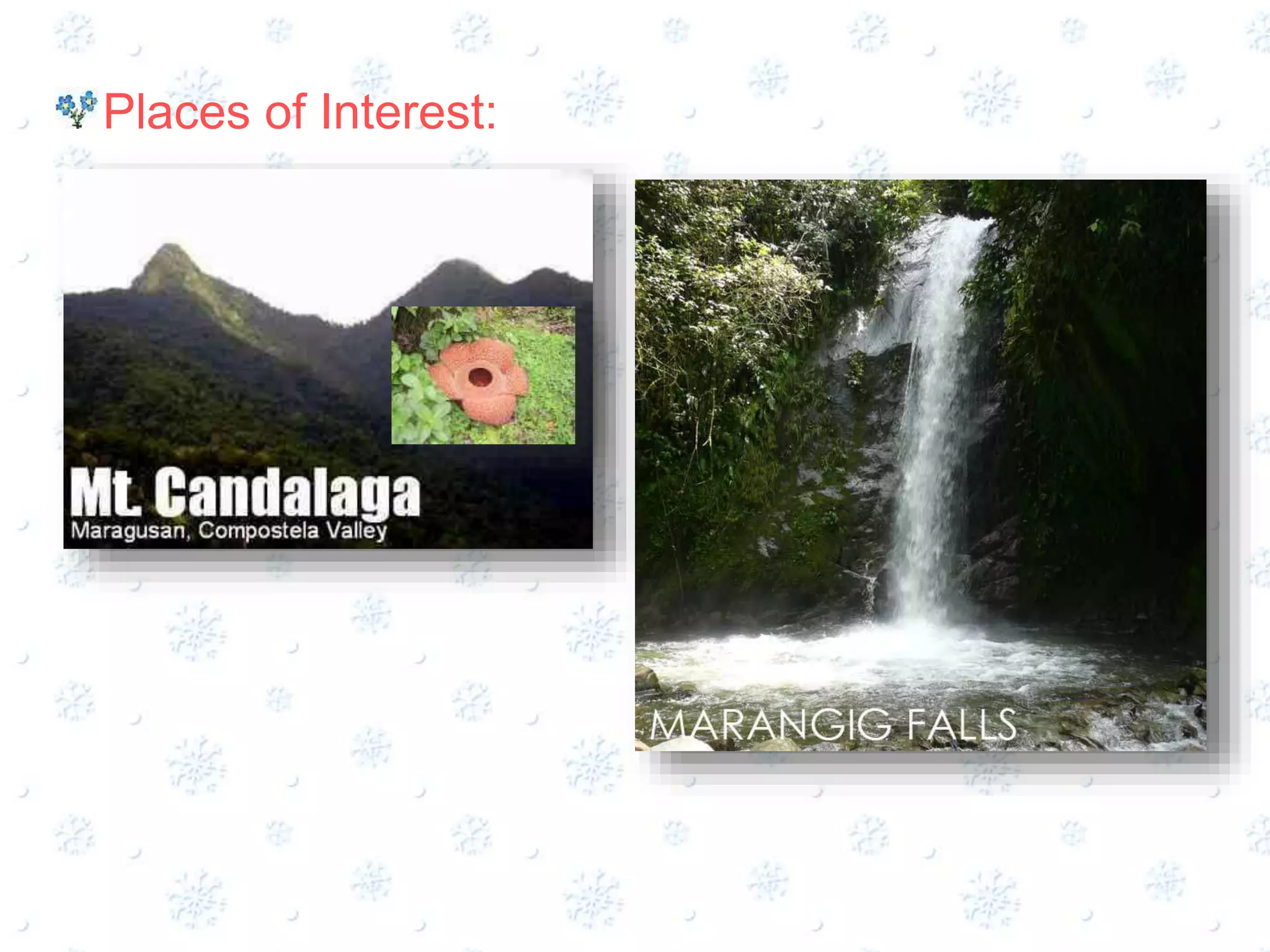 Philippines Region XI Davao | PPTX