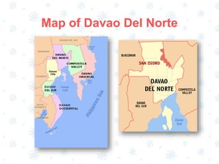 Philippines Region XI Davao | PPTX