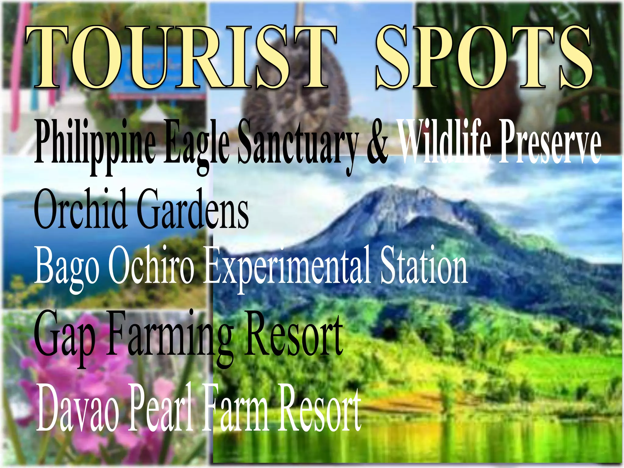 Region XI - Davao Region | PPTX