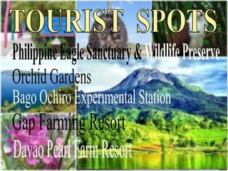 Region XI - Davao Region | PPTX