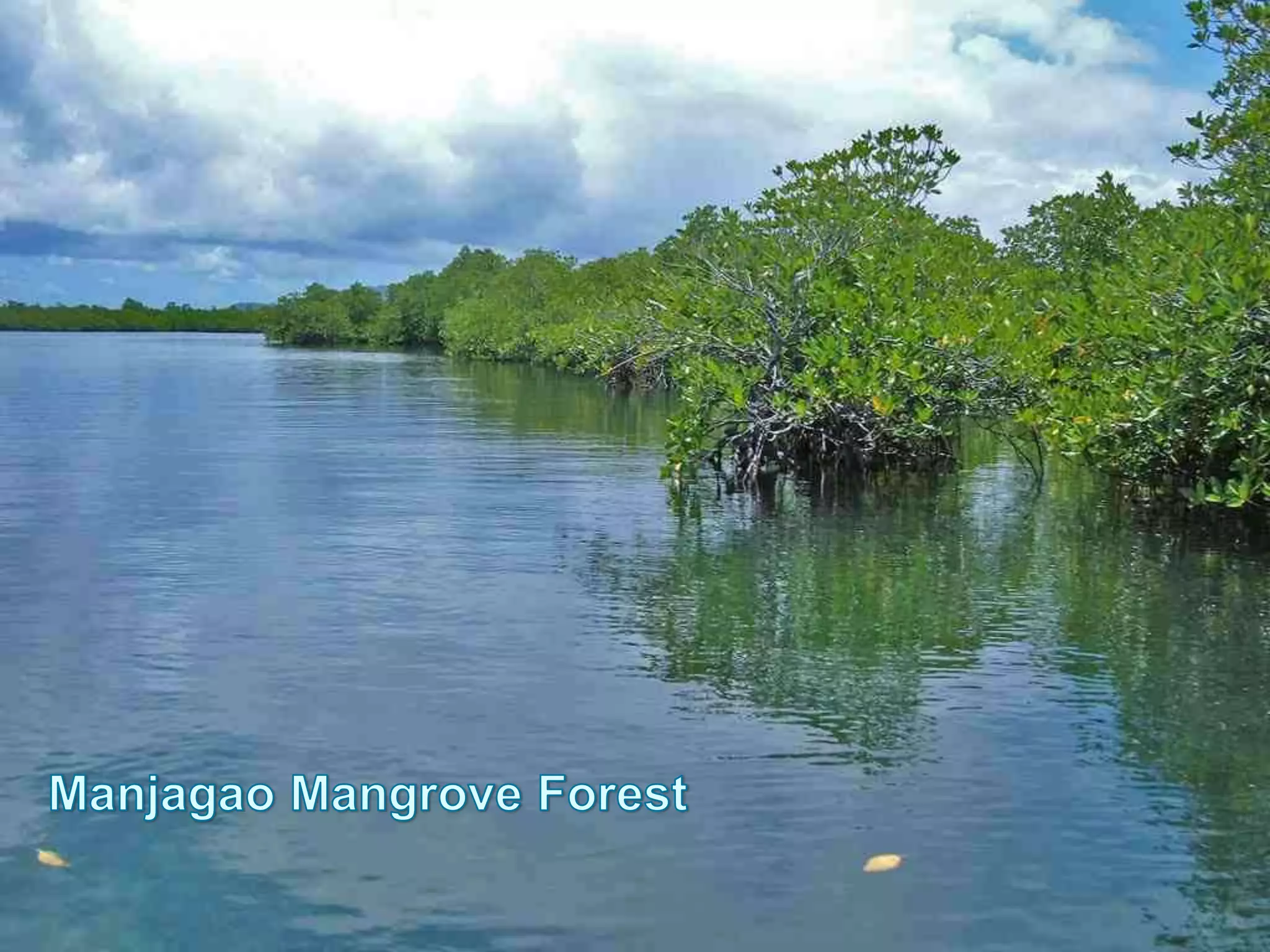 Region xiii (caraga) | PPTX | Geography | Science