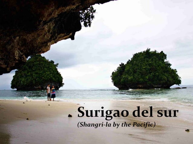 Region xiii (caraga) | PPTX | Geography | Science