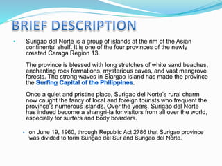 Region xiii (caraga) | PPTX