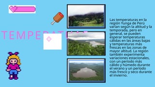 REGION YUNGA - presentacion de power point | PPTX