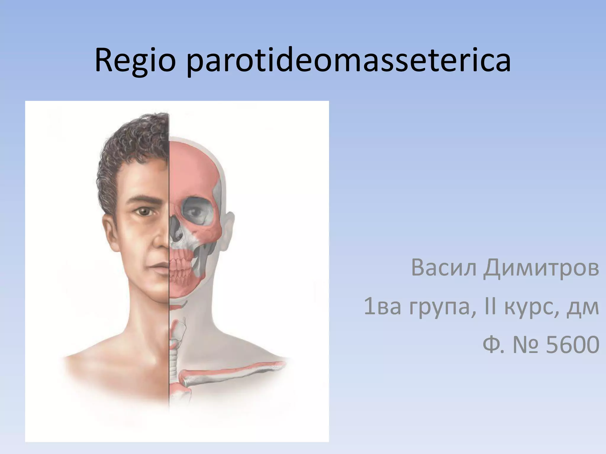 Regio parotideomasseterica | PPT