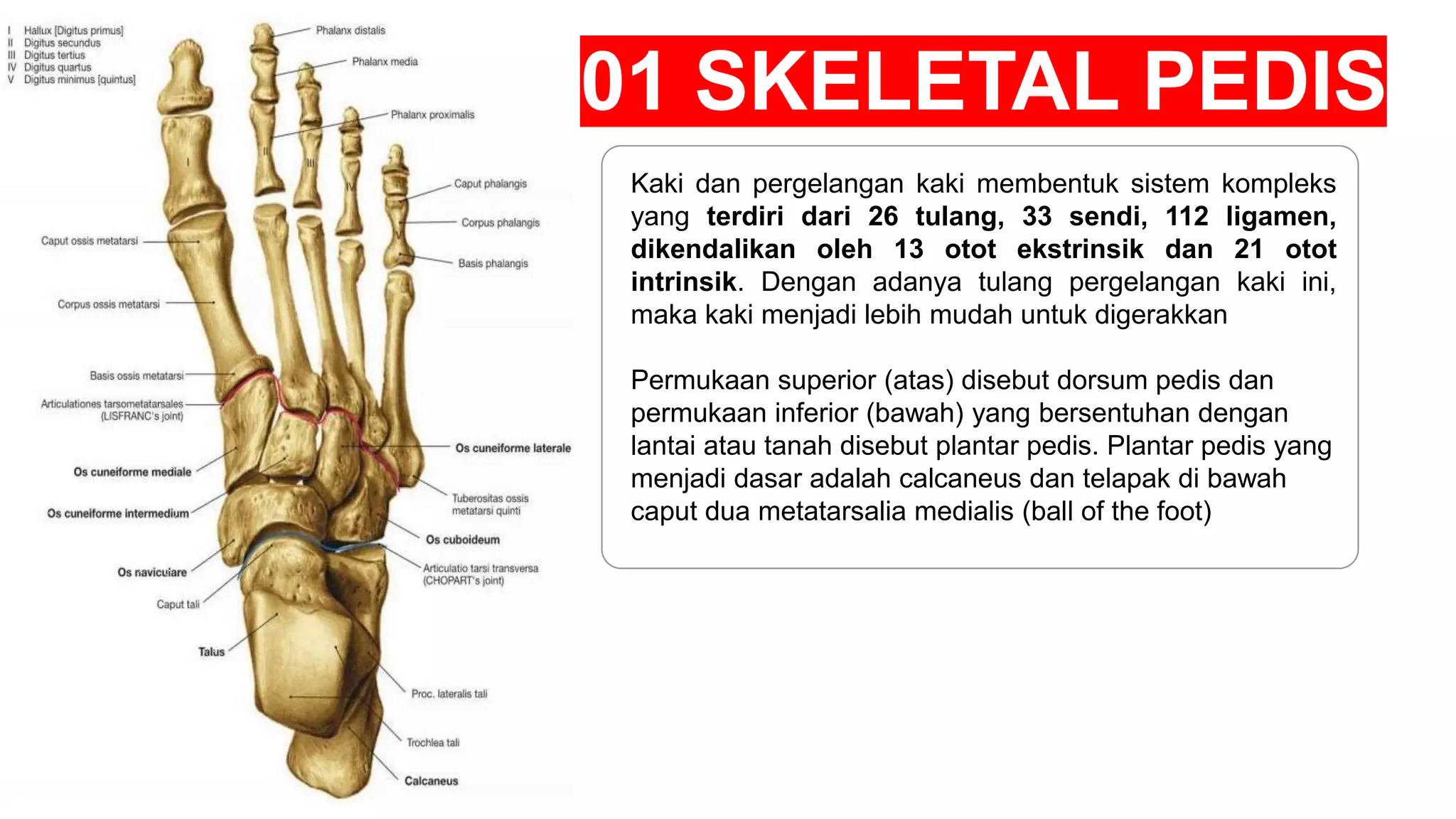 REGIO PEDIS_Inayah Mumpuni B_Harimulti A Wibowo.pptx