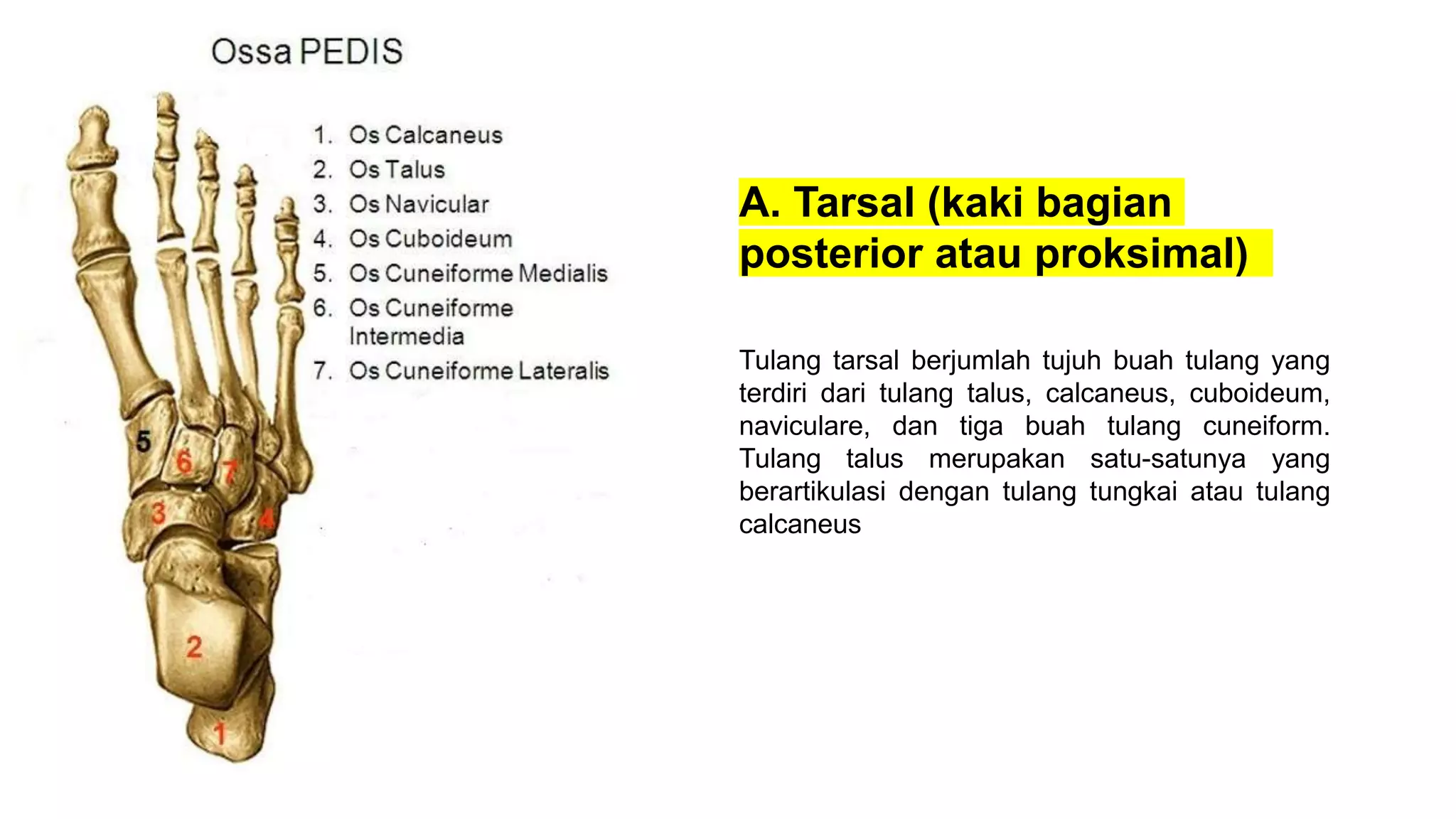 REGIO PEDIS_Inayah Mumpuni B_Harimulti A Wibowo.pptx