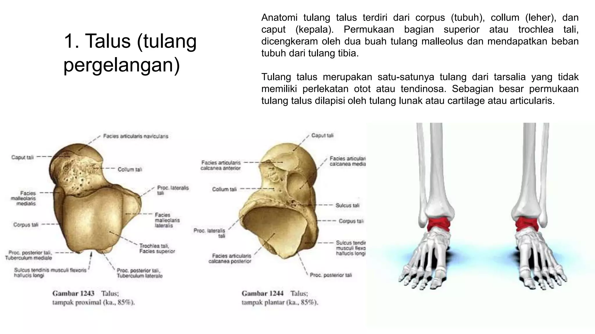 REGIO PEDIS_Inayah Mumpuni B_Harimulti A Wibowo.pptx