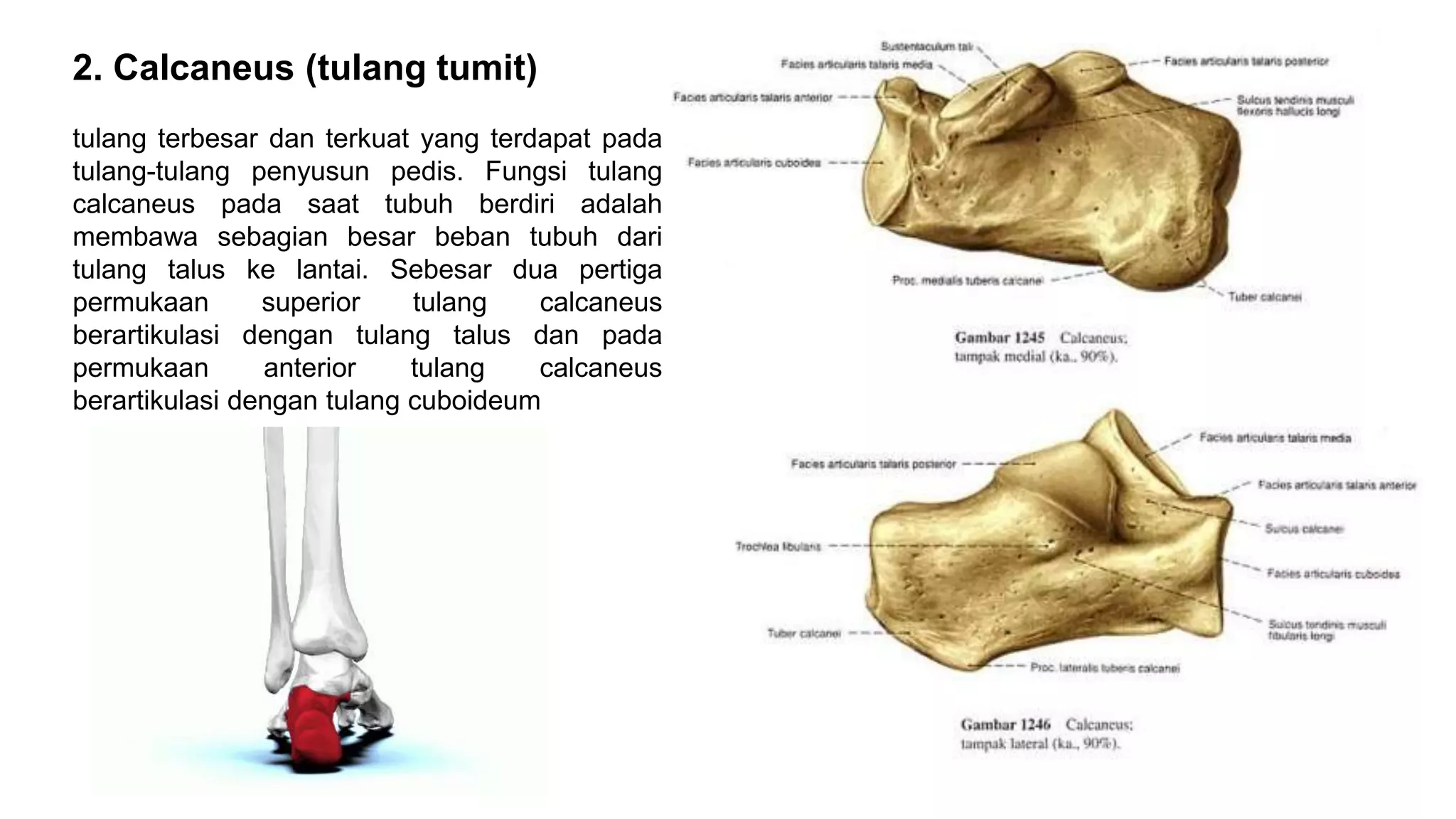 REGIO PEDIS_Inayah Mumpuni B_Harimulti A Wibowo.pptx
