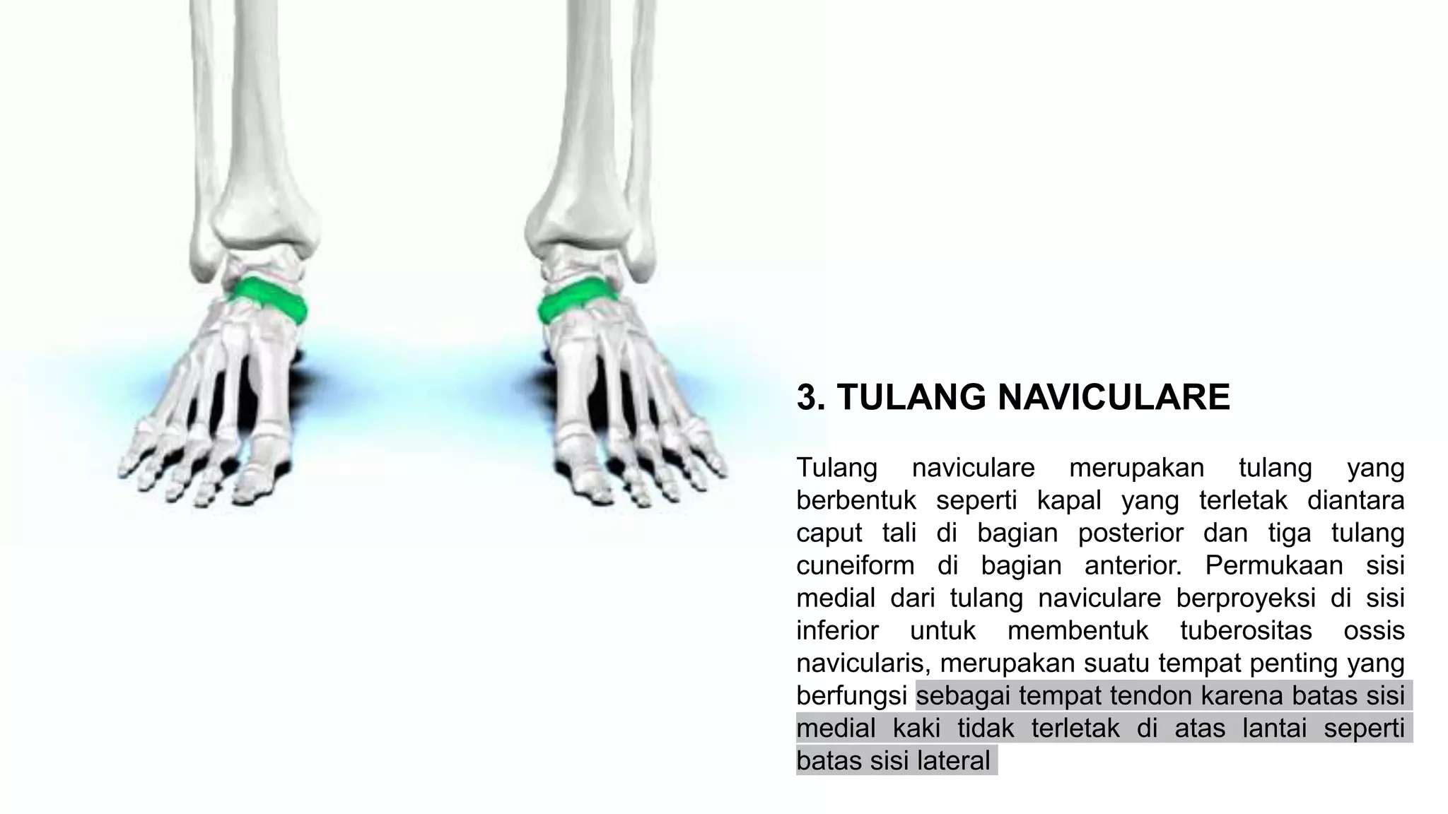 REGIO PEDIS_Inayah Mumpuni B_Harimulti A Wibowo.pptx