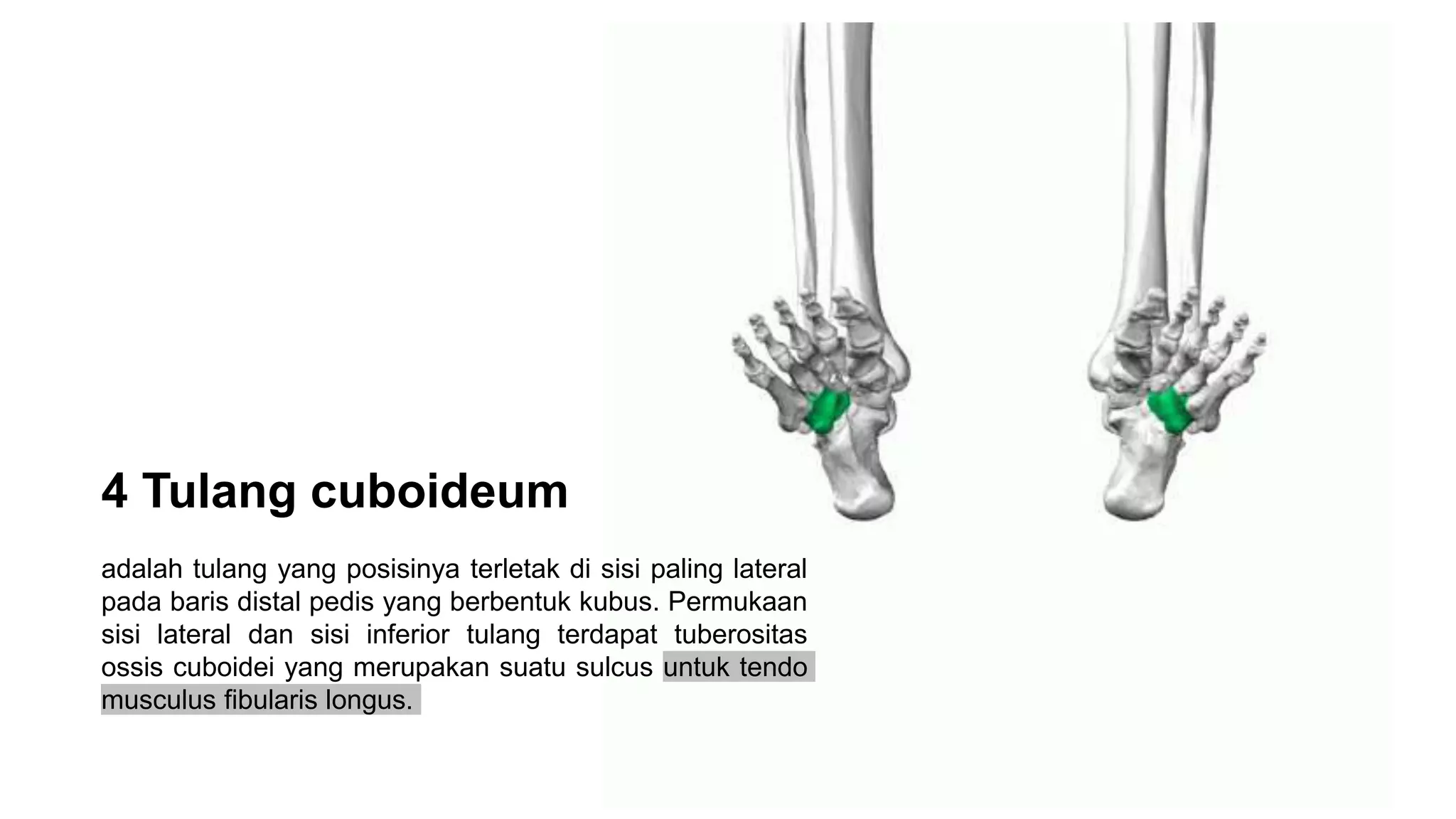 REGIO PEDIS_Inayah Mumpuni B_Harimulti A Wibowo.pptx