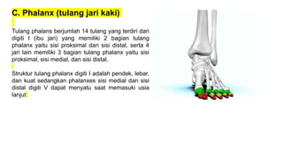 REGIO PEDIS_Inayah Mumpuni B_Harimulti A Wibowo.pptx