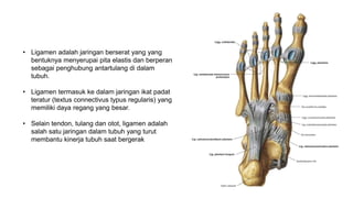 REGIO PEDIS_Inayah Mumpuni B_Harimulti A Wibowo.pptx