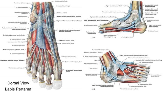 REGIO PEDIS_Inayah Mumpuni B_Harimulti A Wibowo.pptx