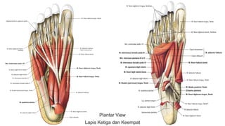 REGIO PEDIS_Inayah Mumpuni B_Harimulti A Wibowo.pptx
