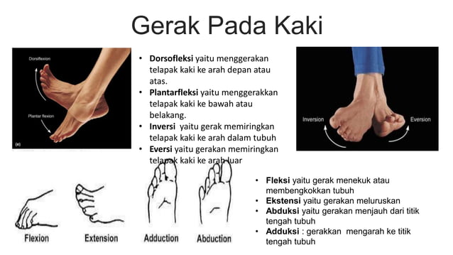 REGIO PEDIS_Inayah Mumpuni B_Harimulti A Wibowo.pptx