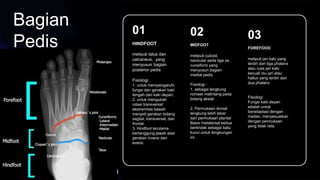 REGIO PEDIS_Inayah Mumpuni B_Harimulti A Wibowo.pptx