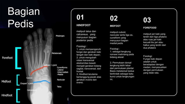 REGIO PEDIS_Inayah Mumpuni B_Harimulti A Wibowo.pptx
