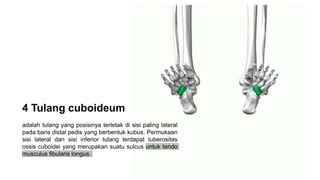 REGIO PEDIS_Inayah Mumpuni B_Harimulti A Wibowo.pptx