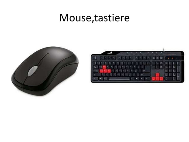 Projekt ne informatike | PPTX