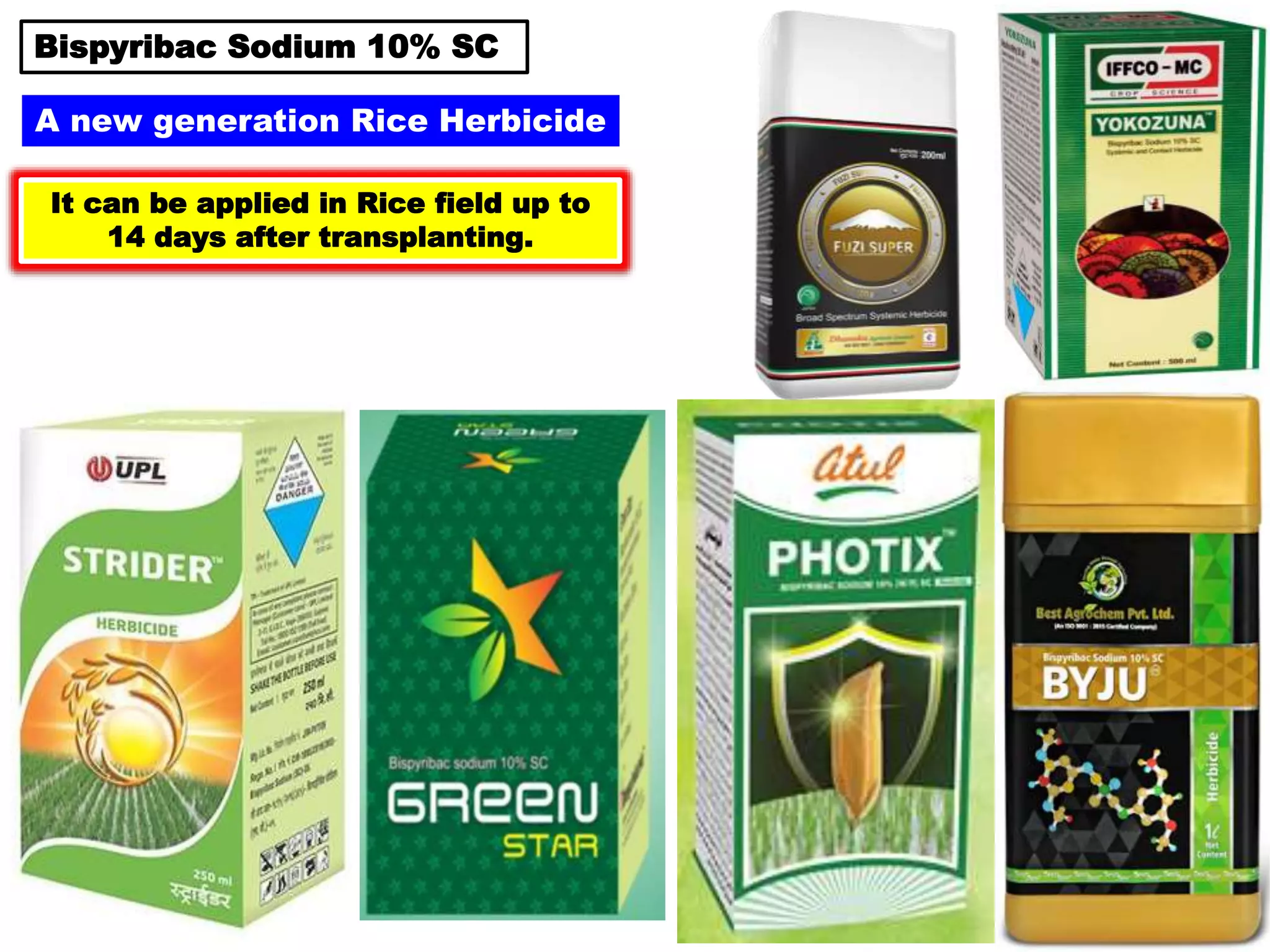 Registered herbicides in india with their commercial formulations | PPTX