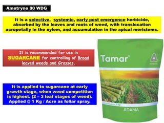 Registered herbicides in india with their commercial formulations | PPTX