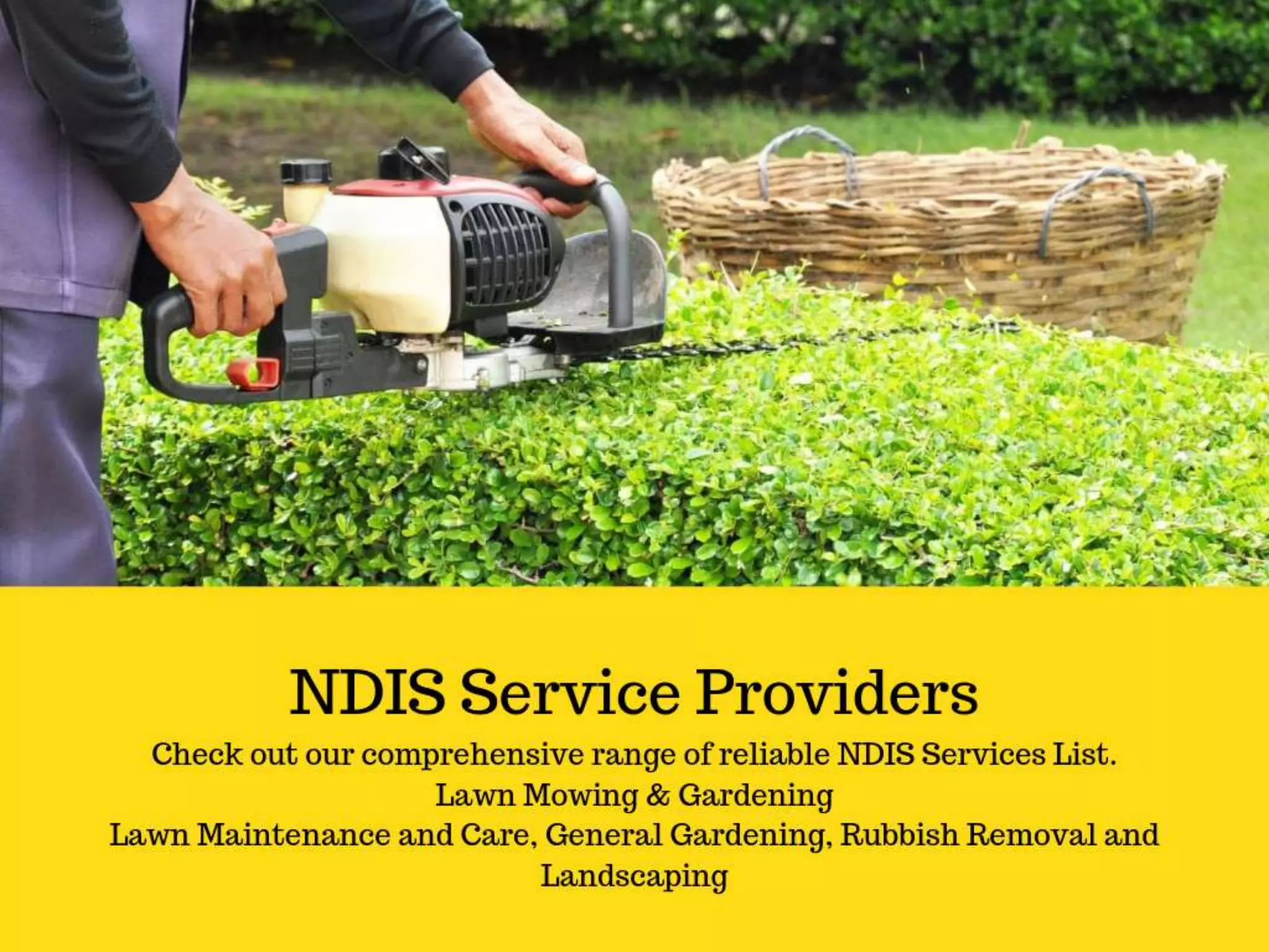 Registered ndis provider | PPT