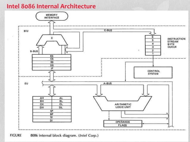 Register organisation | PPT