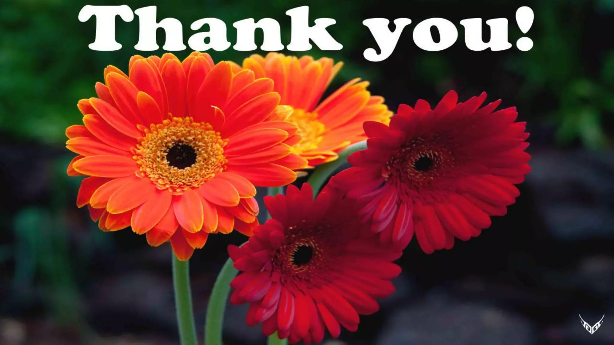 Registers in laboratory | PPTX