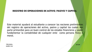 Registro de operaciones de activo, pasivo y capital | PDF