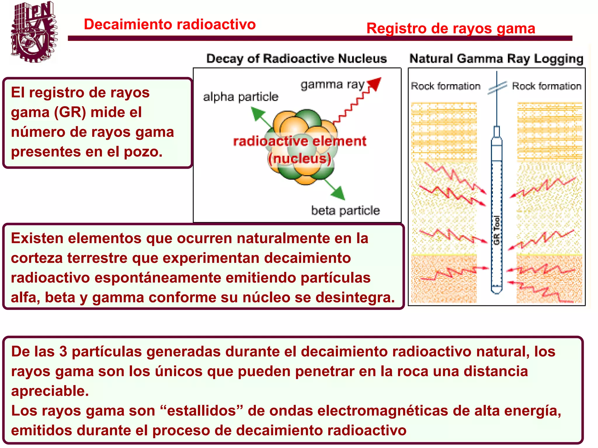 Registro de rayos gamma.pdf