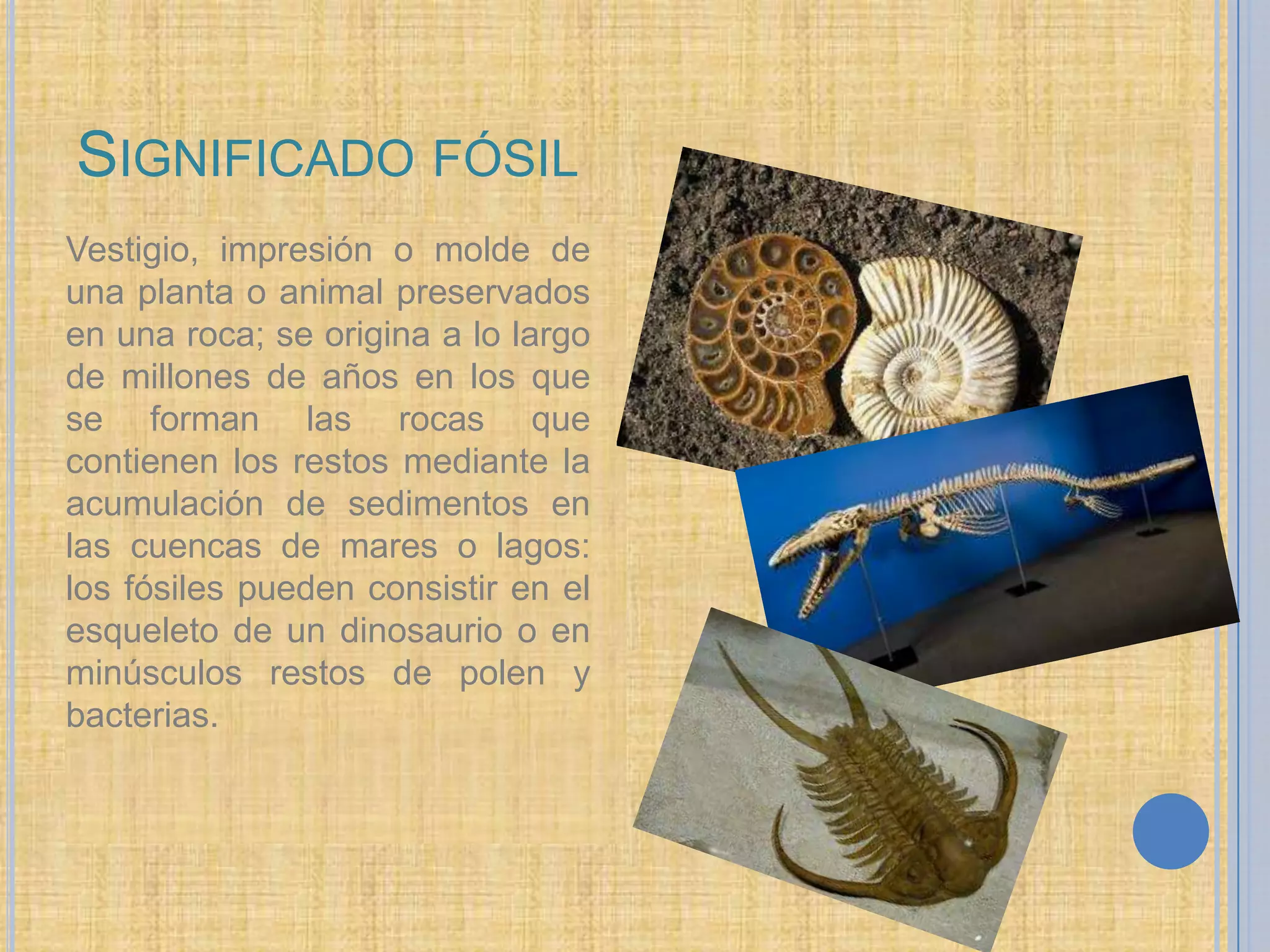 Registro fósil ppt | PPTX