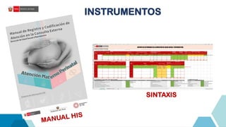 REGISTRO DEL HIS MINSA DE LA ATENCION MATERNA | PDF
