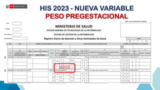 REGISTRO DEL HIS MINSA DE LA ATENCION MATERNA | PDF