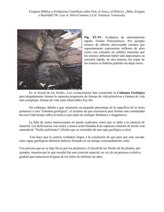 REGISTROS FOSILES PETRIFICADOS COMO EVIDENCIA CIENTIFICA PARA EL ...