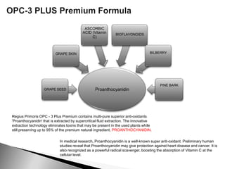 Plan Pemasaran Regius Primoris | PPTX