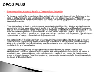 Plan Pemasaran Regius Primoris | PPTX