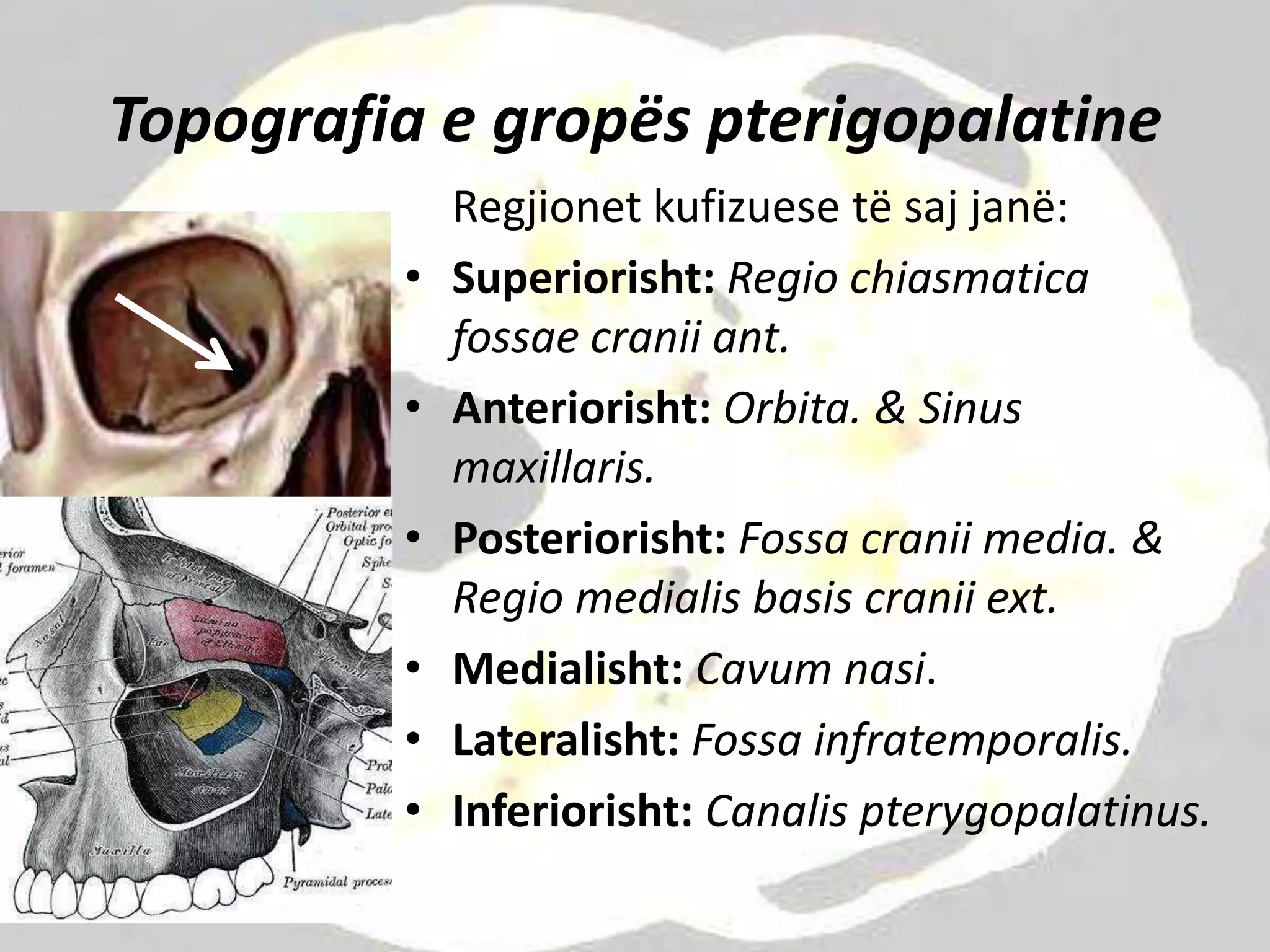 Regjionet e kafkes | PPSX